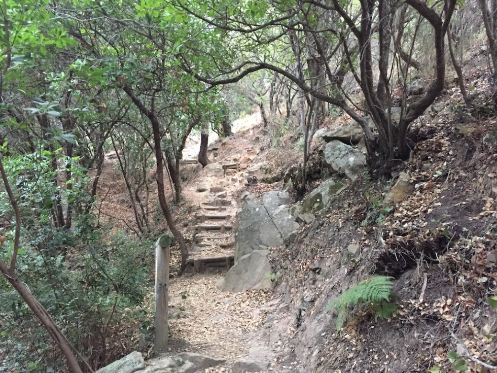 Subida al Picacho - Excursión de Senderismo Sevilla Viajes