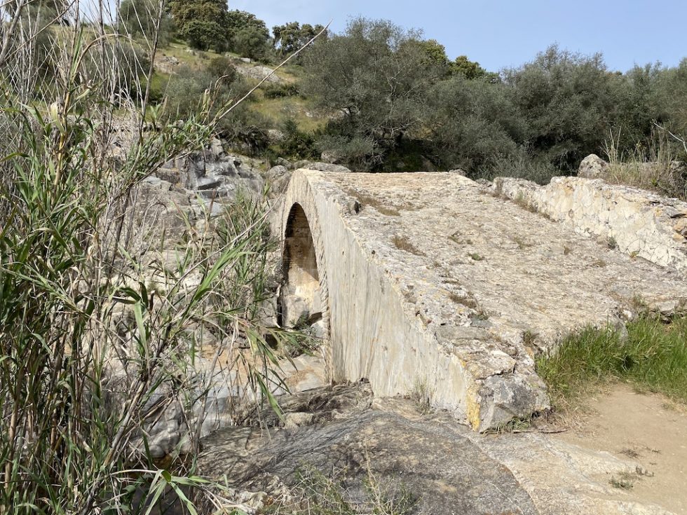 La Dehesa Matallana - Excursión de Senderismo Sevilla Viajes Viajes